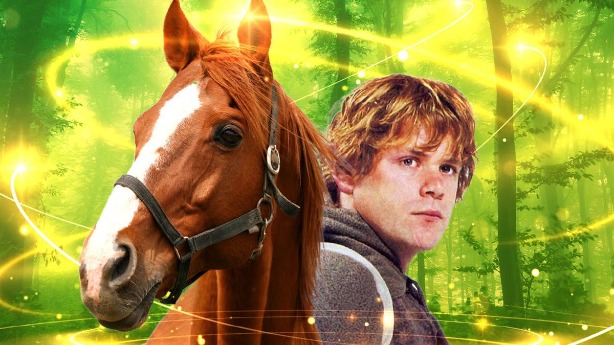 Wondering What Happened to Bill the Pony After ‘The Fellowship of the ...