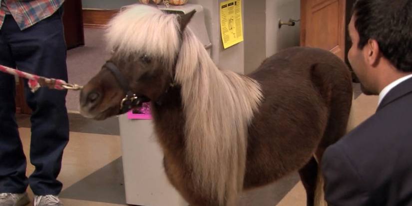 10 Best Side Characters of 'Parks and Recreation,' Ranked