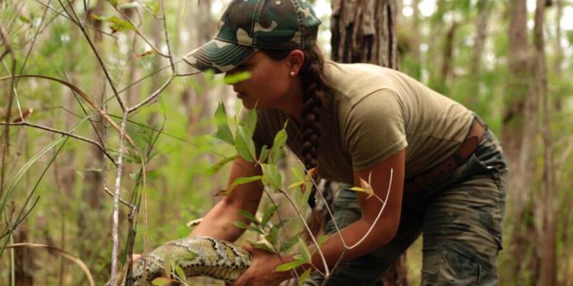 Between ‘Swamp People: Serpent Invasion’ and ‘The Python Hunt,’ the ...