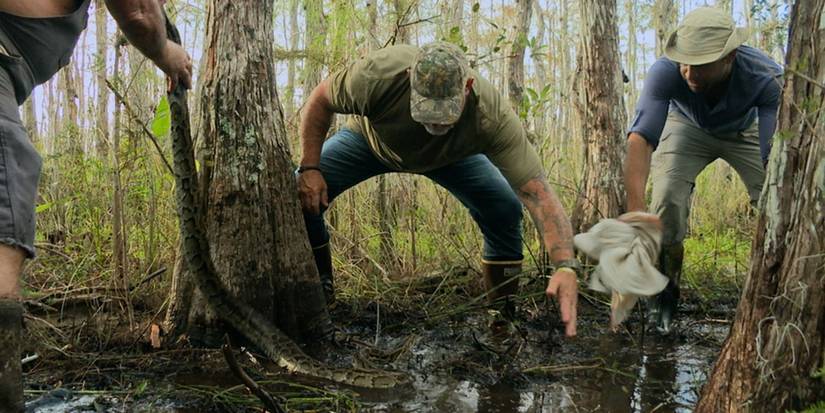 'Swamp People' Is One of the Best Reality Shows On TV, and Here's 10 ...