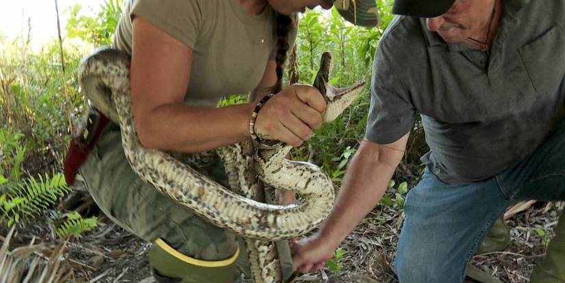 ‘Swamp People’ Is the One Reality Show That the Kardashians or Real ...