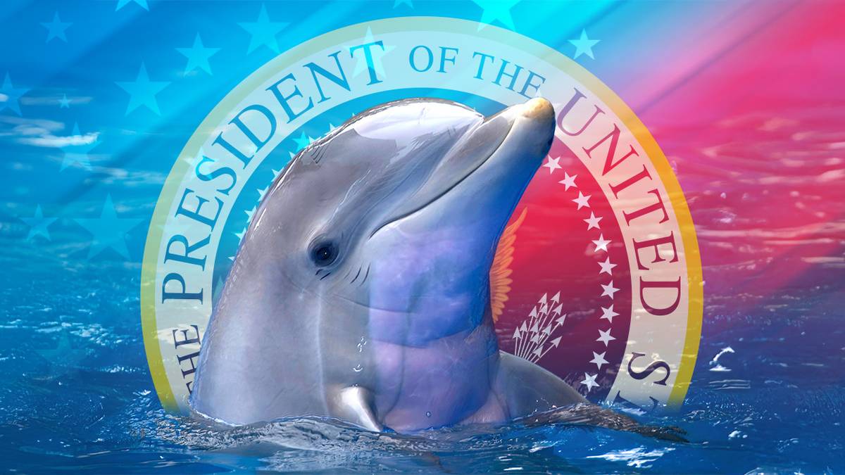 Yes, There’s a ’70s Thriller About a Murder Dolphin Trained To Kill the ...