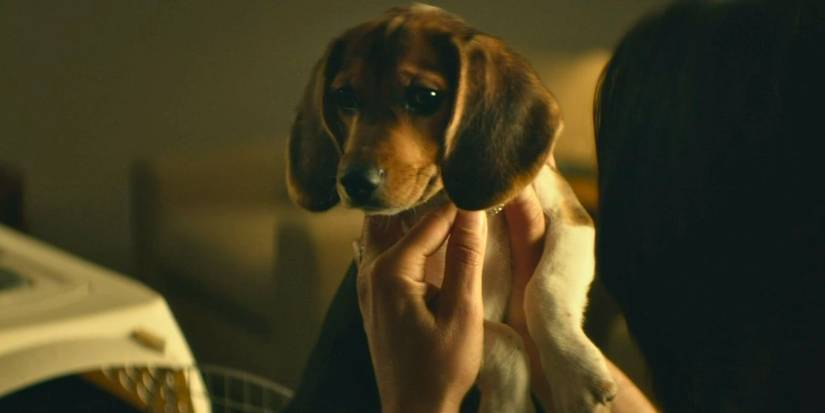 10 Best Action Scenes in the John Wick Movies, Ranked