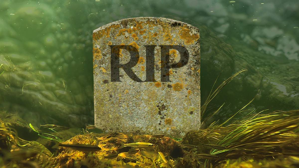 Swamp People Fans Still Mourn These Stars’ Deaths—Here’s What Really ...