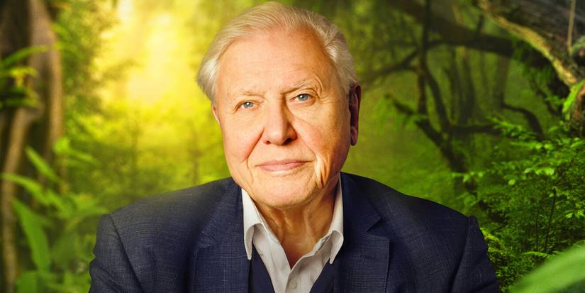 8 Documentaries on Netflix That Can Be Called Masterpieces