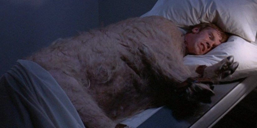31 Years Later, ‘Seinfeld’s Most Disturbing Plot Was Never Supposed To ...