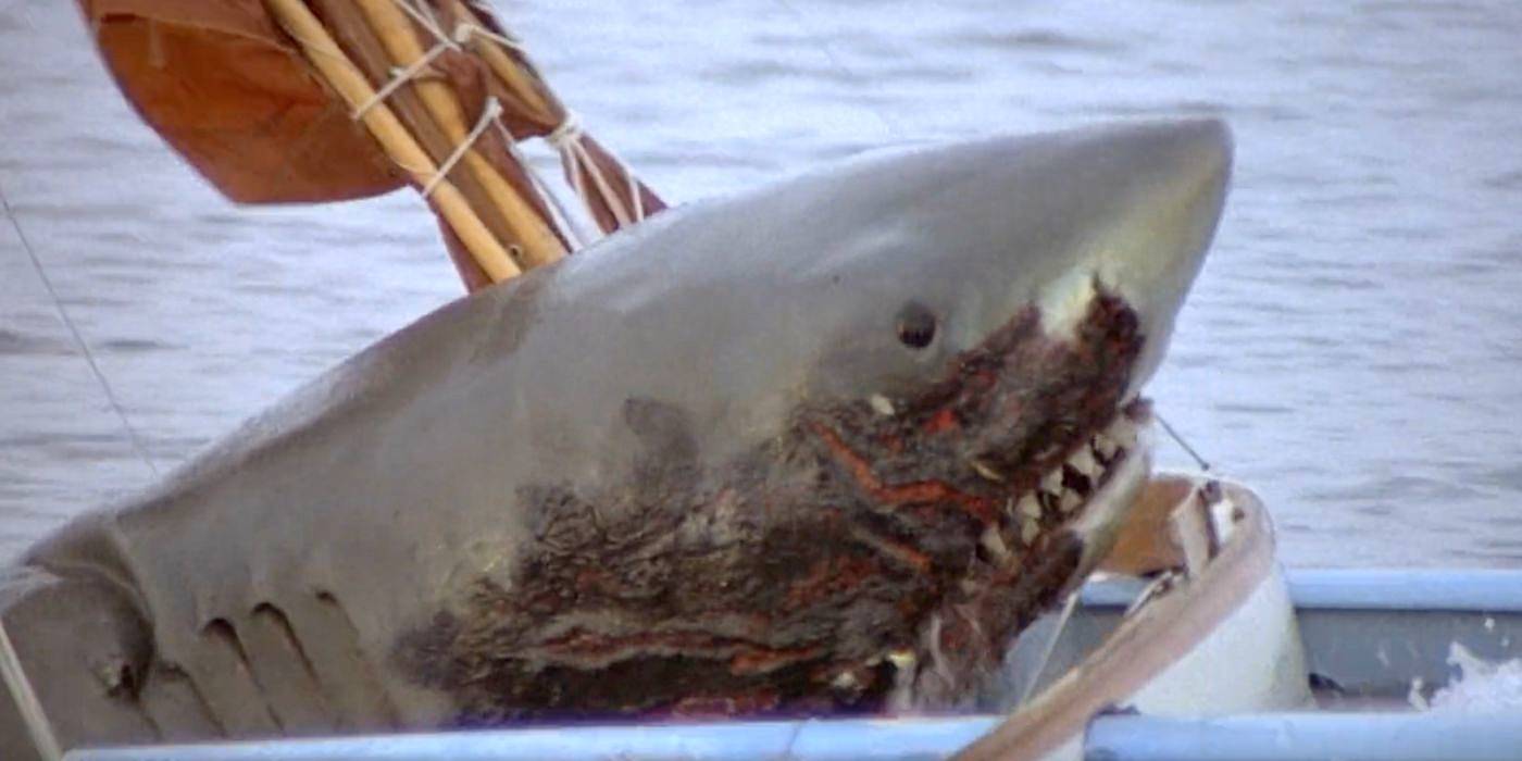 'Jaws' 50th Anniversary IMAX Trailer Dares You To Get Back in the Water