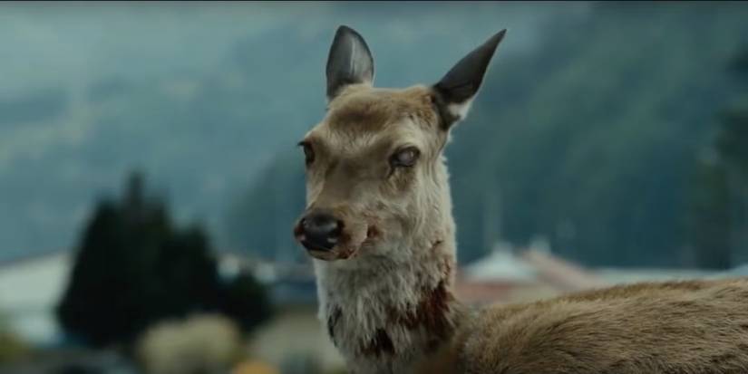 10 Best Zombie Movie Opening Scenes, Ranked