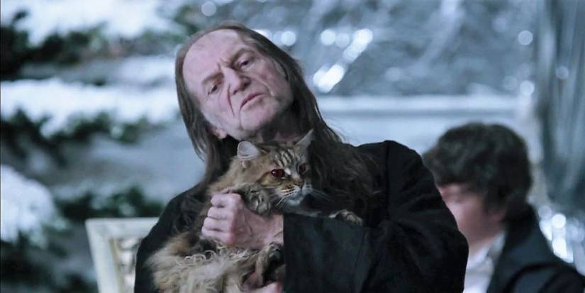 HBO's New Harry Potter Series Could Finally Confirm These 10 Popular ...