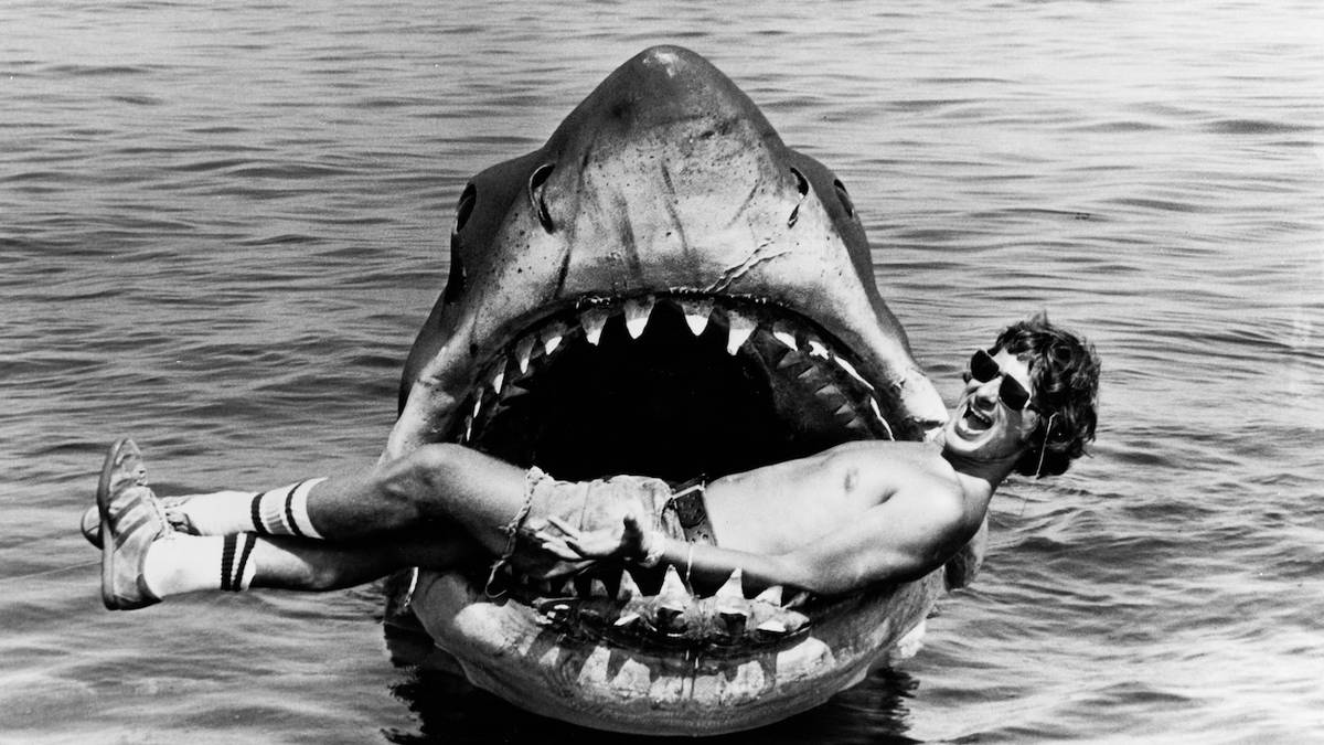 50 Years Ago, a Real-Life Great White Shark Unexpectedly Rewrote the ...