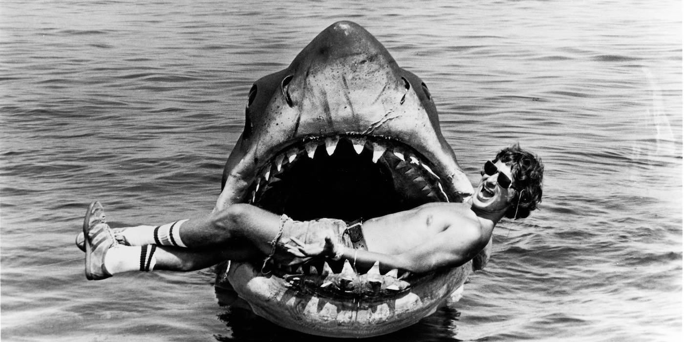 50 Years Ago, a Real-Life Great White Shark Unexpectedly Rewrote the ...