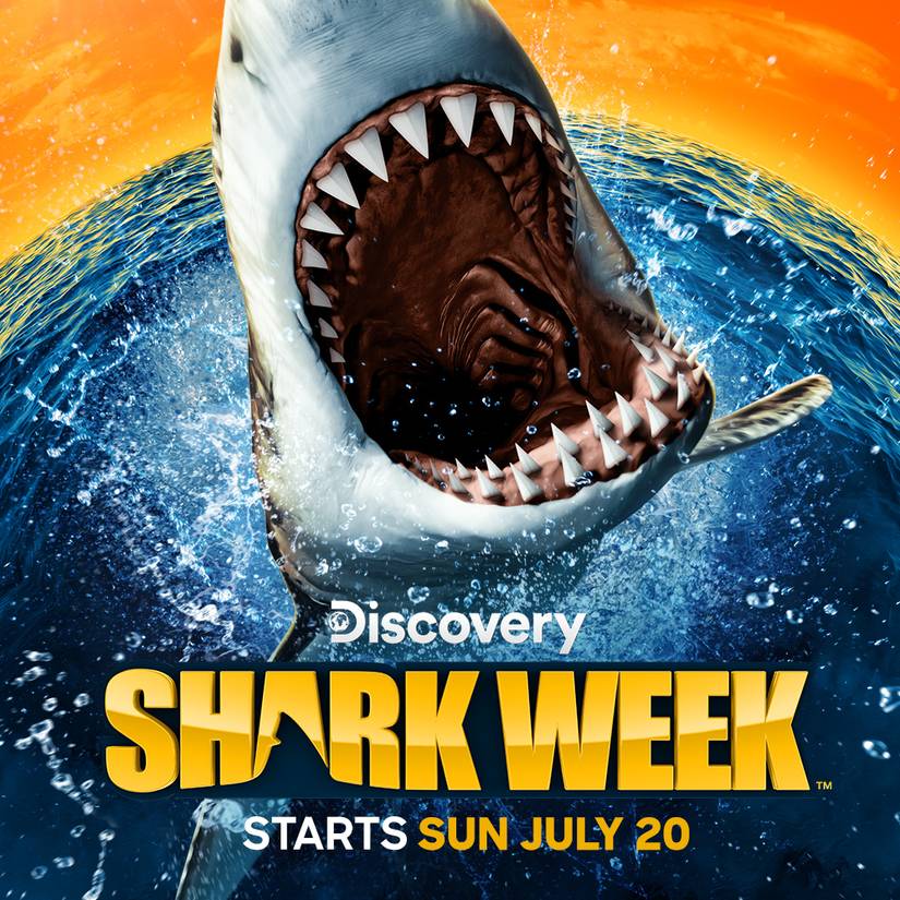 colossus shark documentary