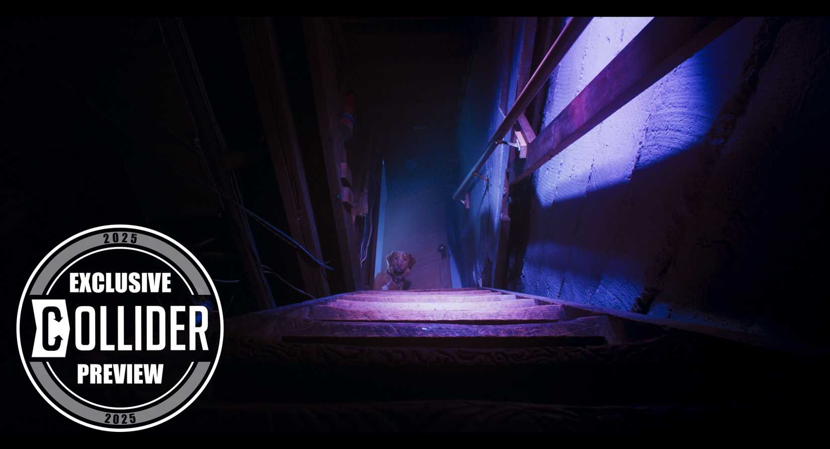 Collider's Fall Preview Event Debuts Exclusives From 55 Must-Watch Movies