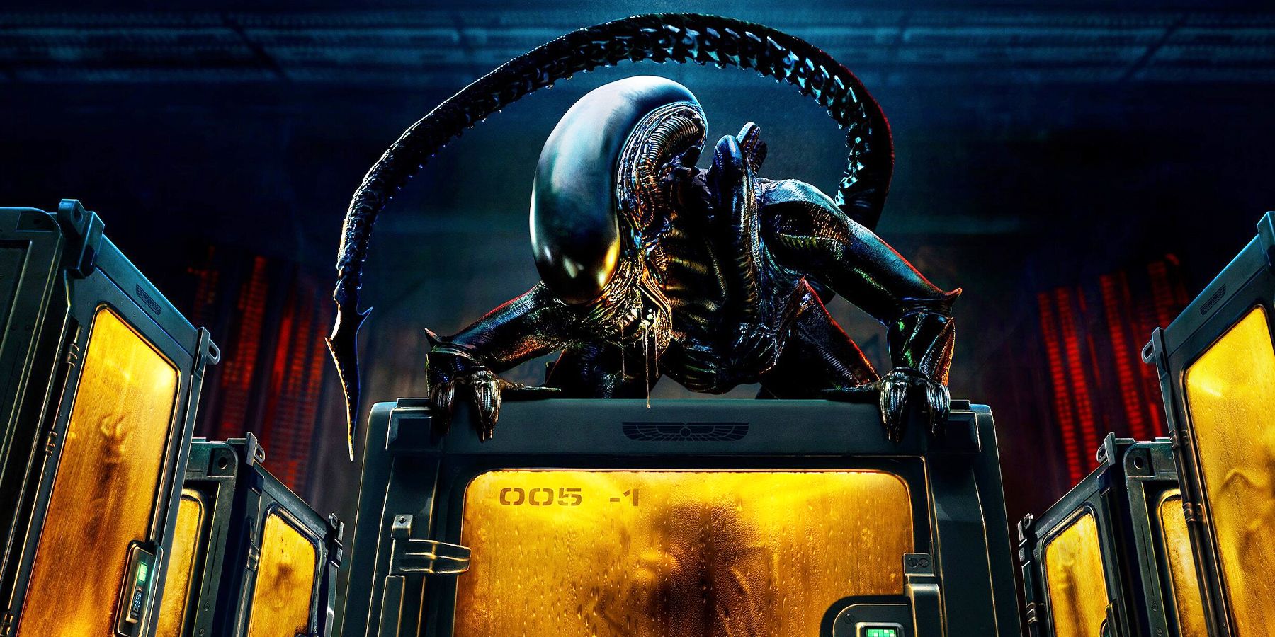 10 Best Mainstream TV Shows That Pushed The Boundaries for Representation