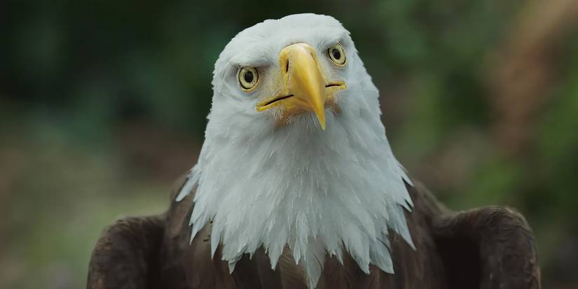 10 Best Characters in 'Peacemaker,' Ranked