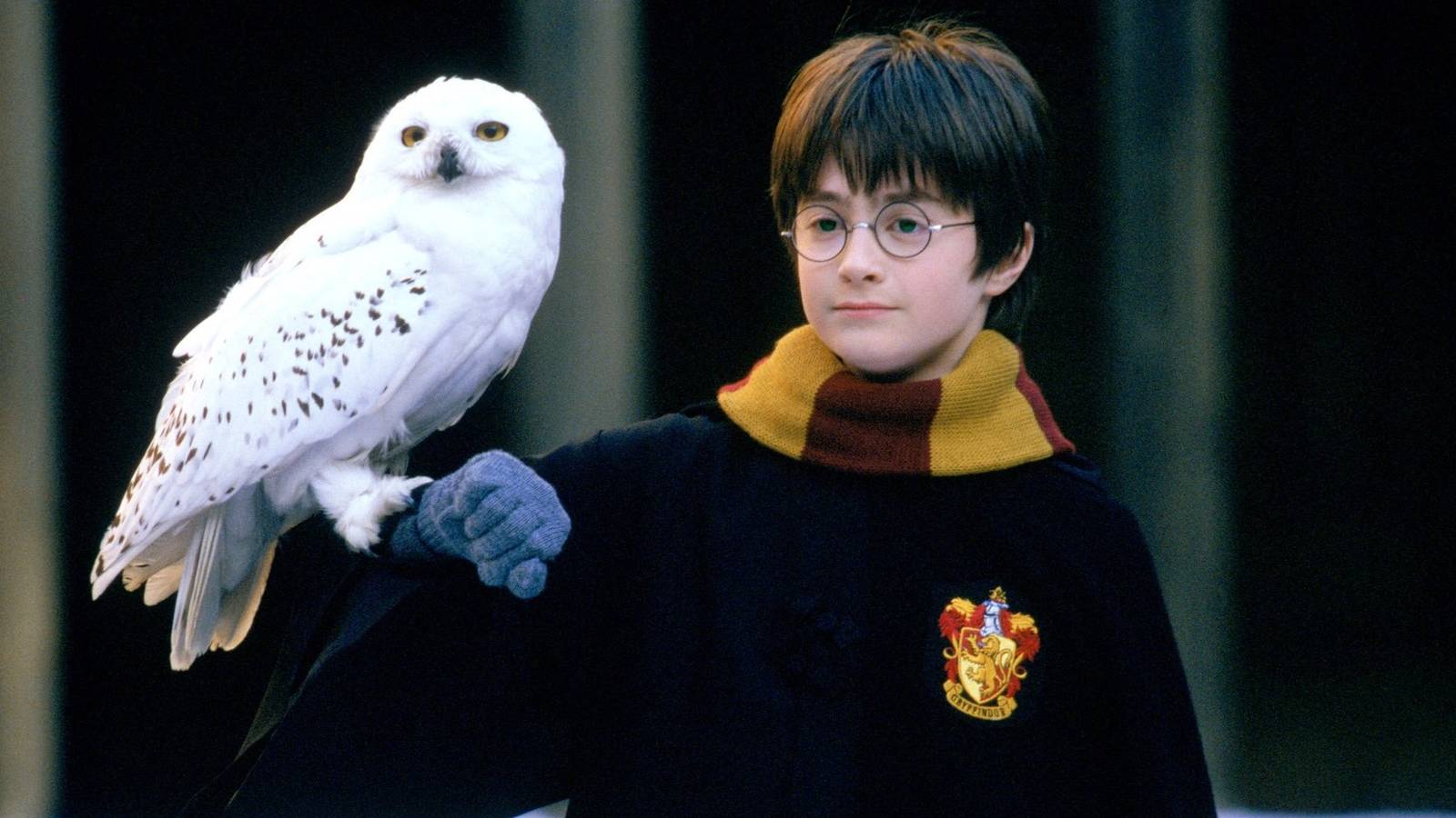 New Set Video From HBO's Harry Potter Series Leaks as Key Scene ...