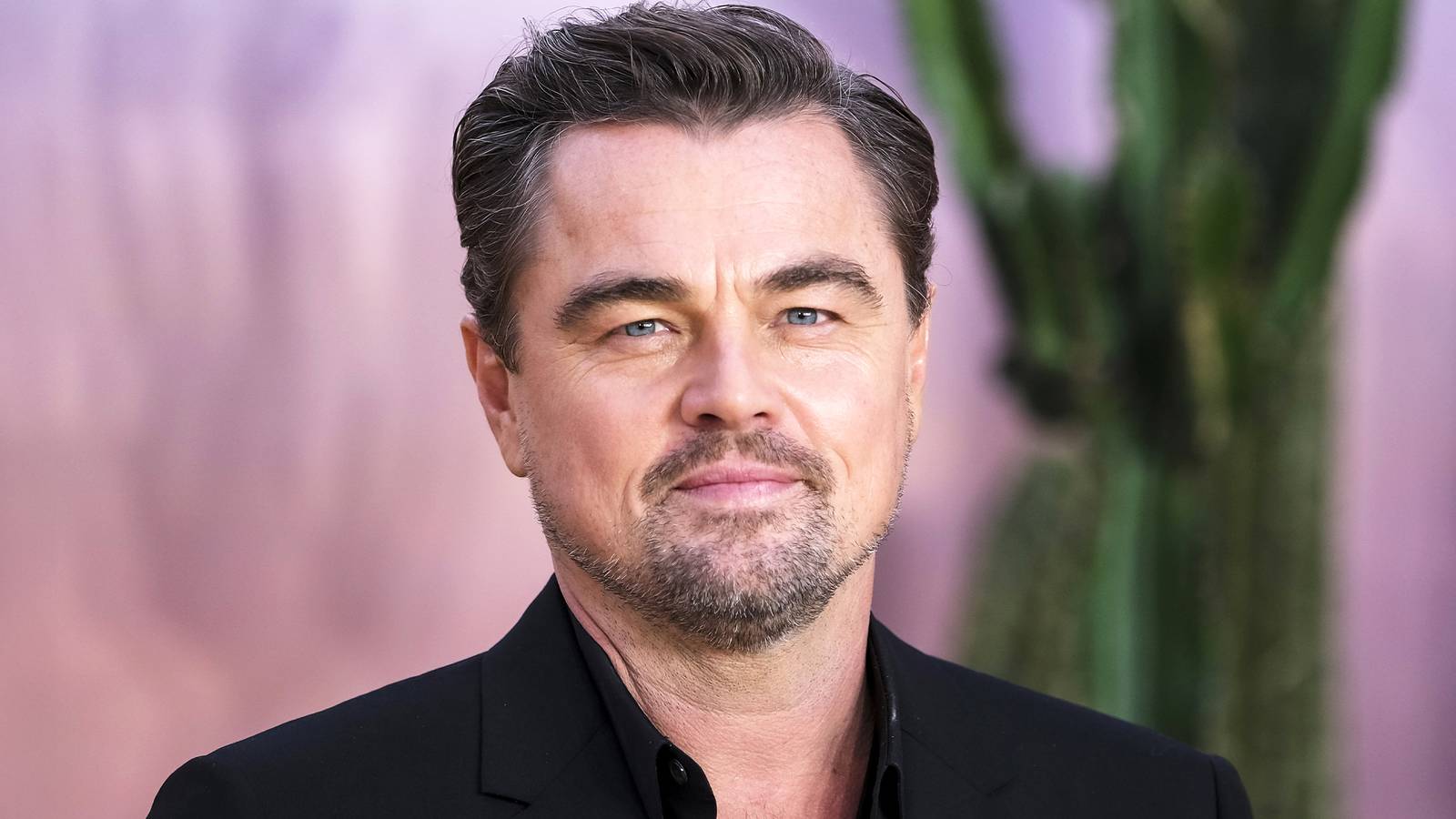 Leonardo DiCaprio’s Acclaimed Hit Overtakes Steven Spielberg’s ...