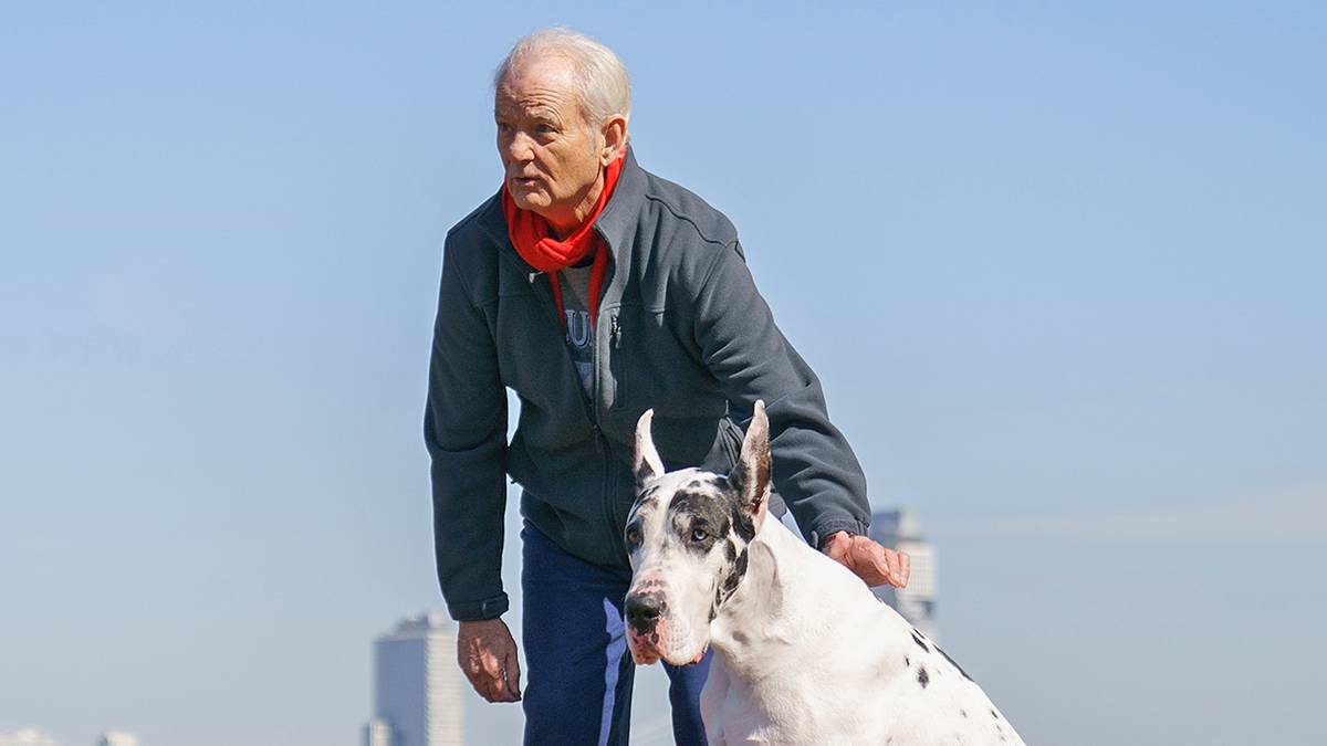 84% Rotten Tomatoes ‘Marley & Me’ Replacement Becomes Sleeper Hit in America