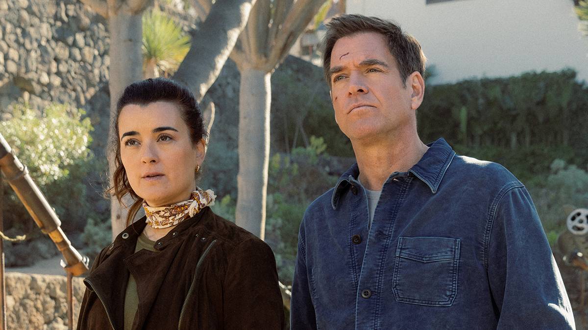 'NCIS: Tony & Ziva' Star Commends Fan Efforts After Cancellation