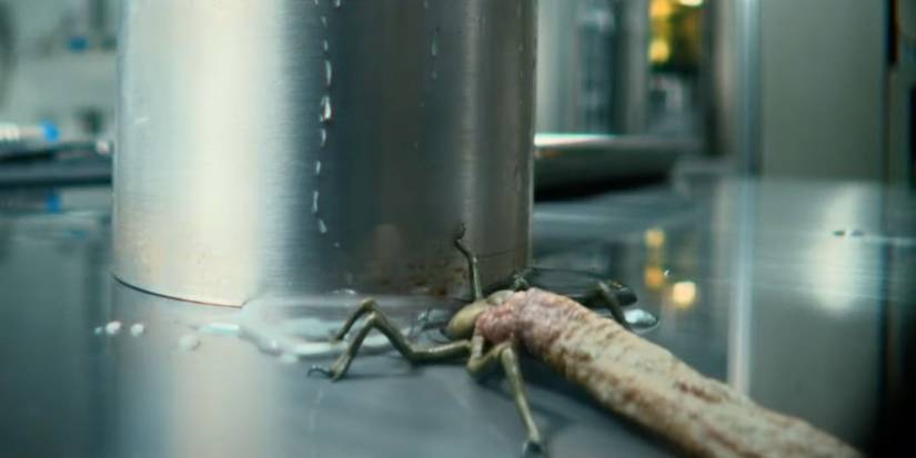 Every Creature in 'Alien: Earth,' Ranked