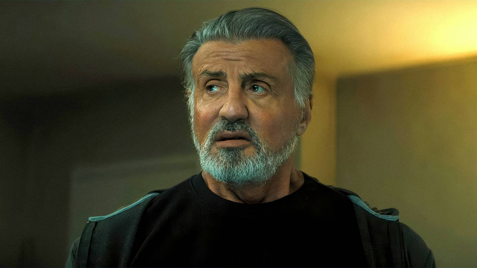 4 Years Later, Sylvester Stallone's Crushing Superhero Movie Still Delivers