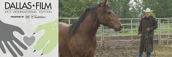 WILD HORSE, WILD RIDE Review