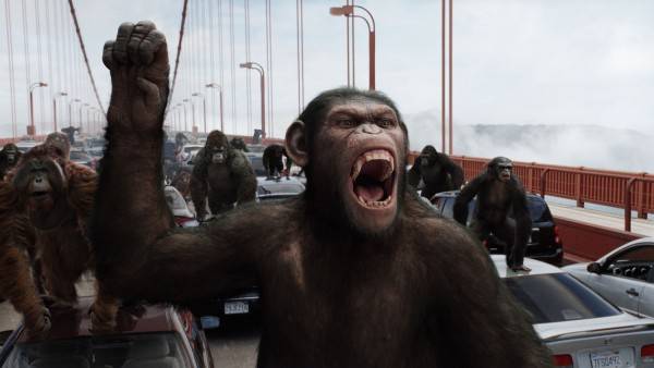 Judy Greer Set as Female Ape Lead in DAWN OF THE PLANET OF THE APES