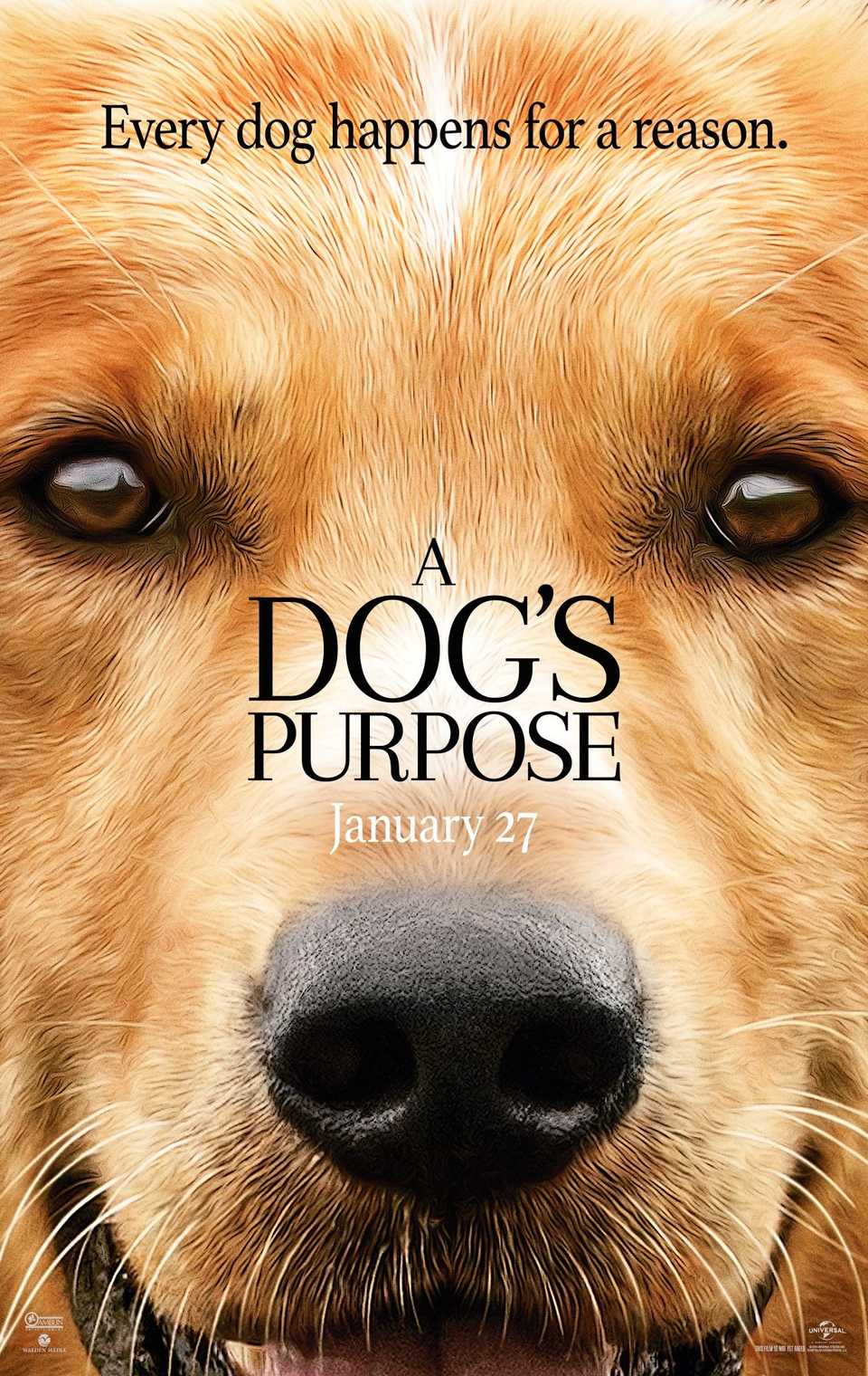 10 Best Dog Movies, Ranked