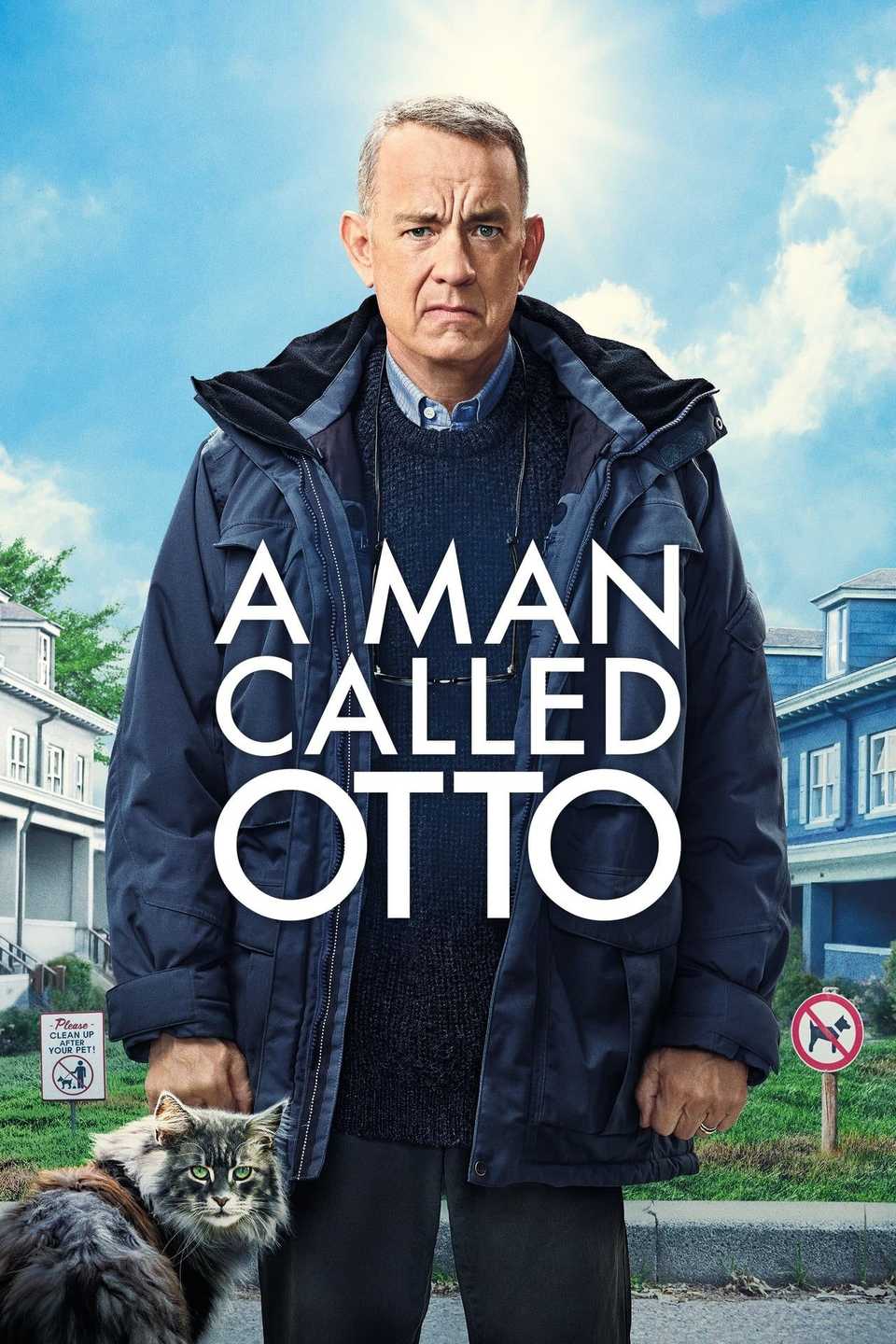 This Tom Hanks Comedy Drama With a 97% Rotten Tomatoes Audience Score ...