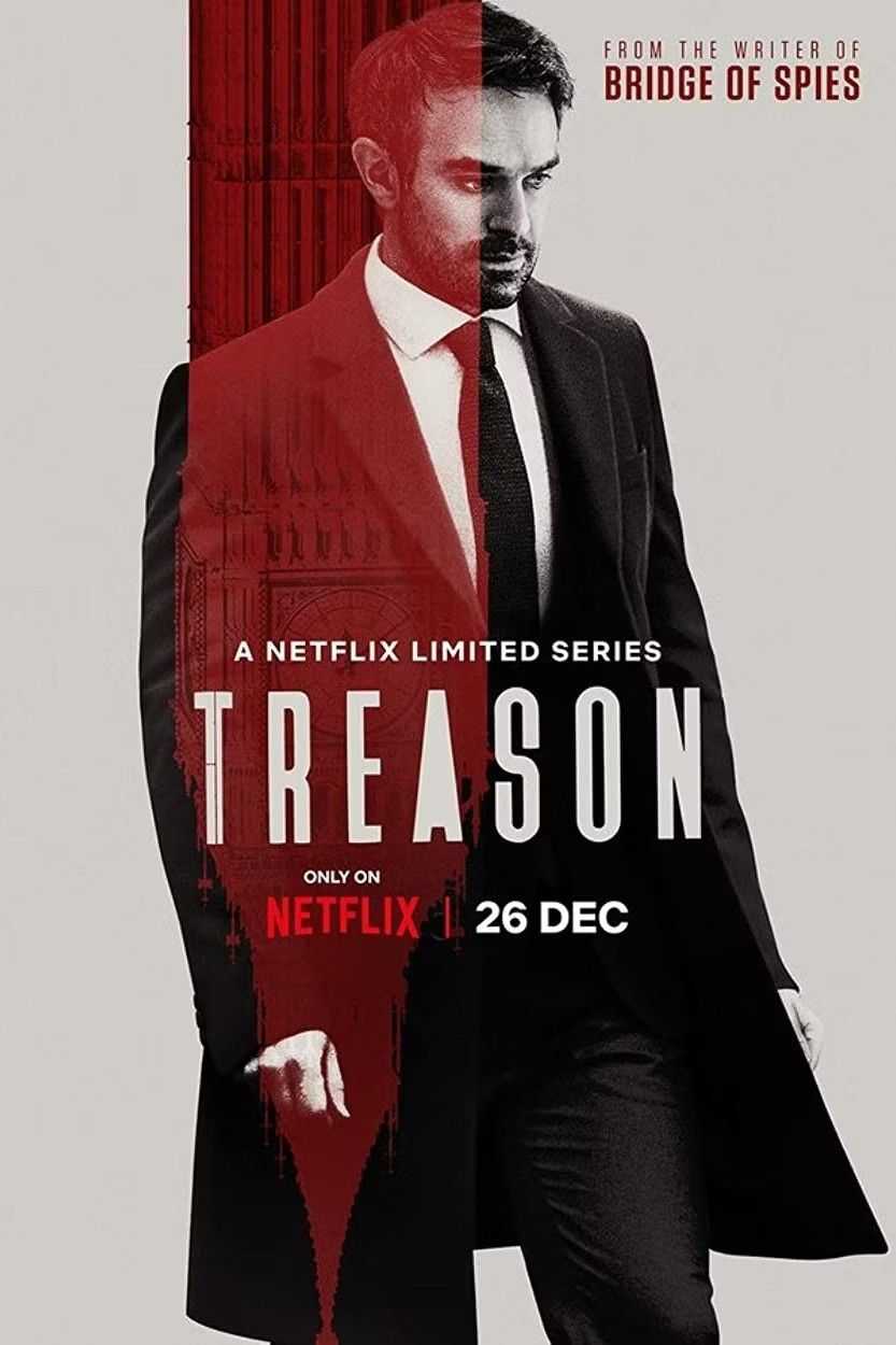 The 8 Best Spy Shows on Netflix Right Now (December 2024)