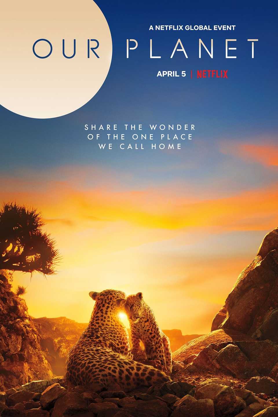 The 10 Best Netflix Original Nature Documentaries, Ranked
