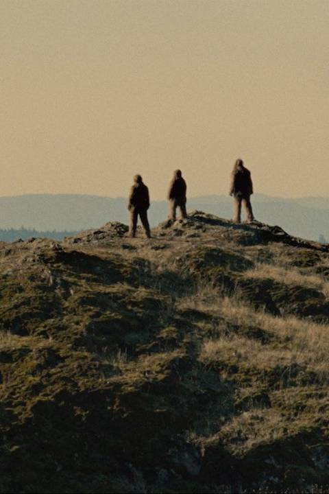 Everything We Know About the Strangest Movie of 2024 — ‘Sasquatch Sunset'