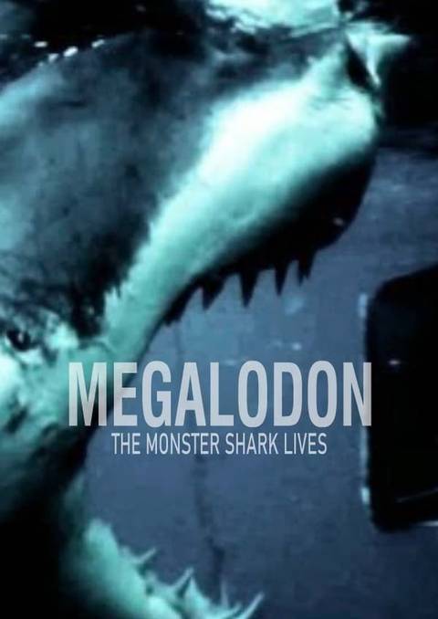 12 Years Later, Discovery’s Shark Week Hoax Is Still the Wildest Thing ...