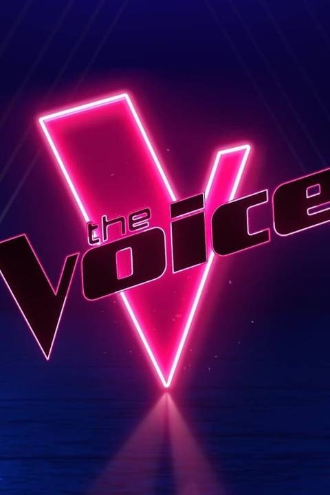“The Heart of a Folk Singer": 'The Voice's Adam Levine Applauds Amazing ...