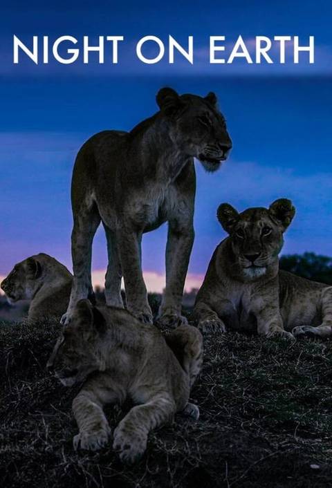 The 10 Best Netflix Original Nature Documentaries, Ranked