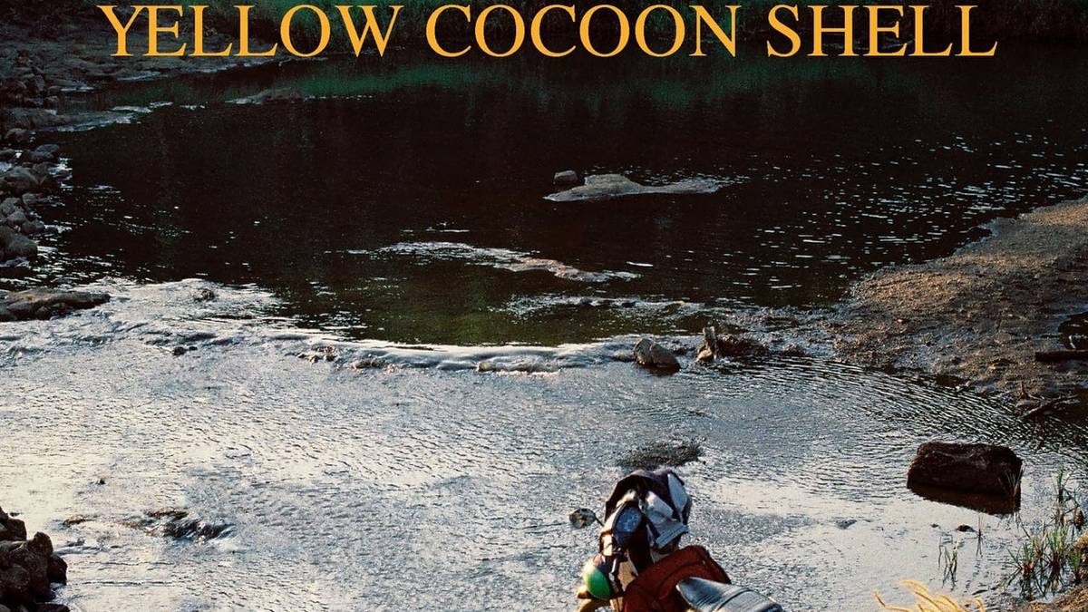 Inside the Yellow Cocoon Shell | Collider