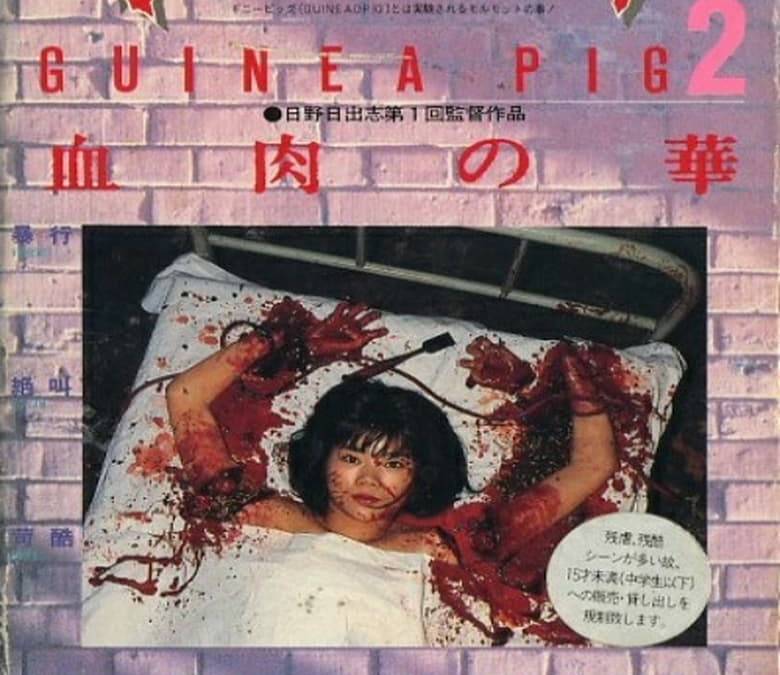 Guinea Pig 2: Flower of Flesh and Blood | Collider