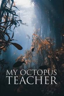 My Octopus Teacher | Collider