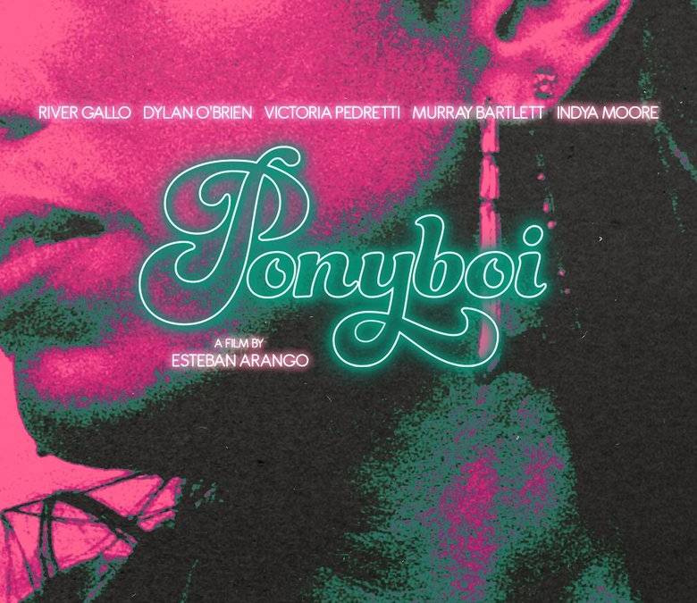 Ponyboi | Collider