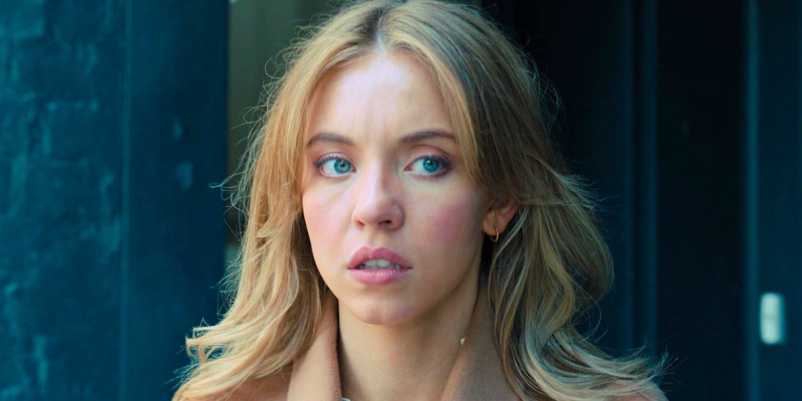Sydney Sweeney's Divisive Romantic Comedy Needs a New Streaming Home