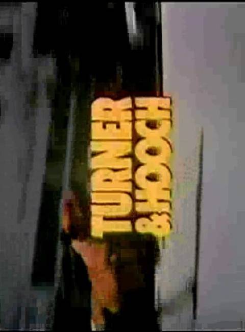 10 Most Rewatchable Tom Hanks Movies, Ranked