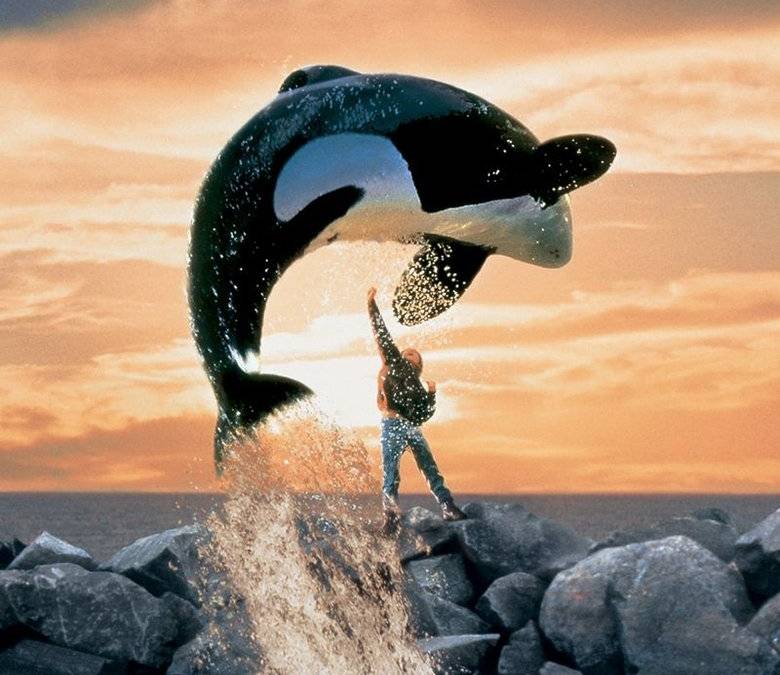 Free Willy | Collider