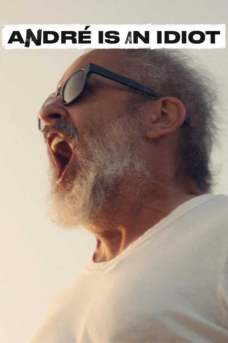 See How the "Bonkers" Rock-and-Roll Poster for A24’s 'André Is an Idiot ...