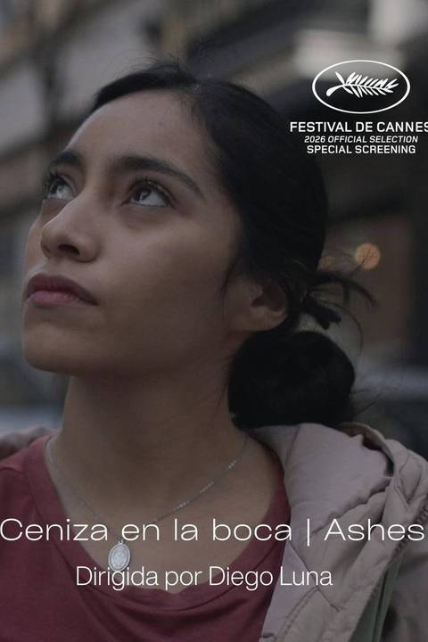 Ashes | Collider
