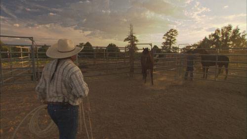 WILD HORSE, WILD RIDE Review
